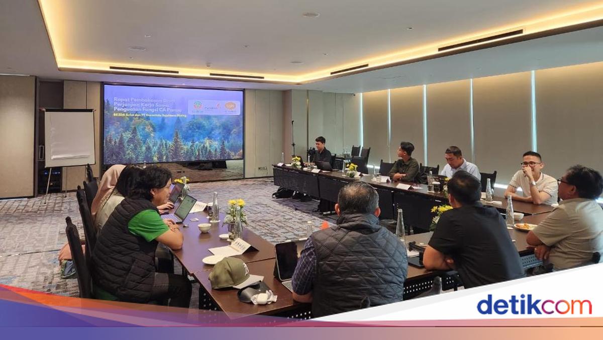 Merdeka Gold Resources & BKSDA Sulut Bahas Konservasi Cagar Alam Panua