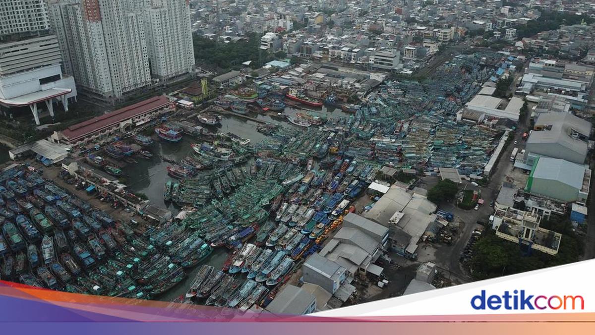 Kondisi Pelabuhan Muara Angke: Dihuni 2.564 Kapal, Banyak yang Mangkrak