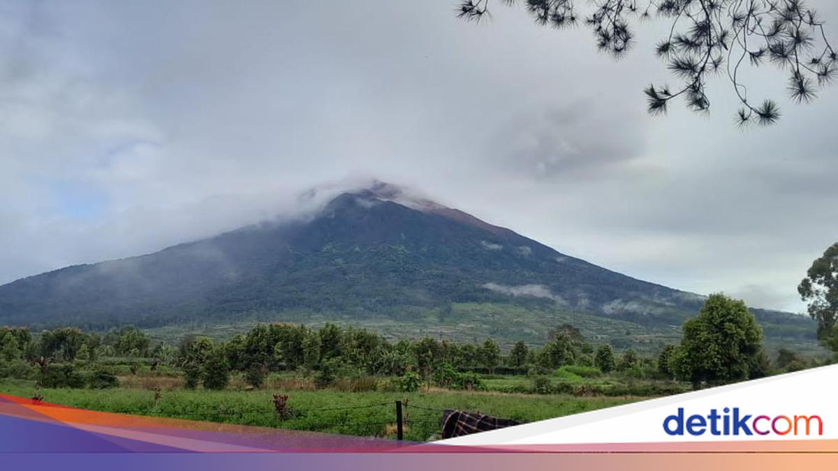 7 Daftar Gunung Tertinggi di Indonesia, Ada dari Sumatera