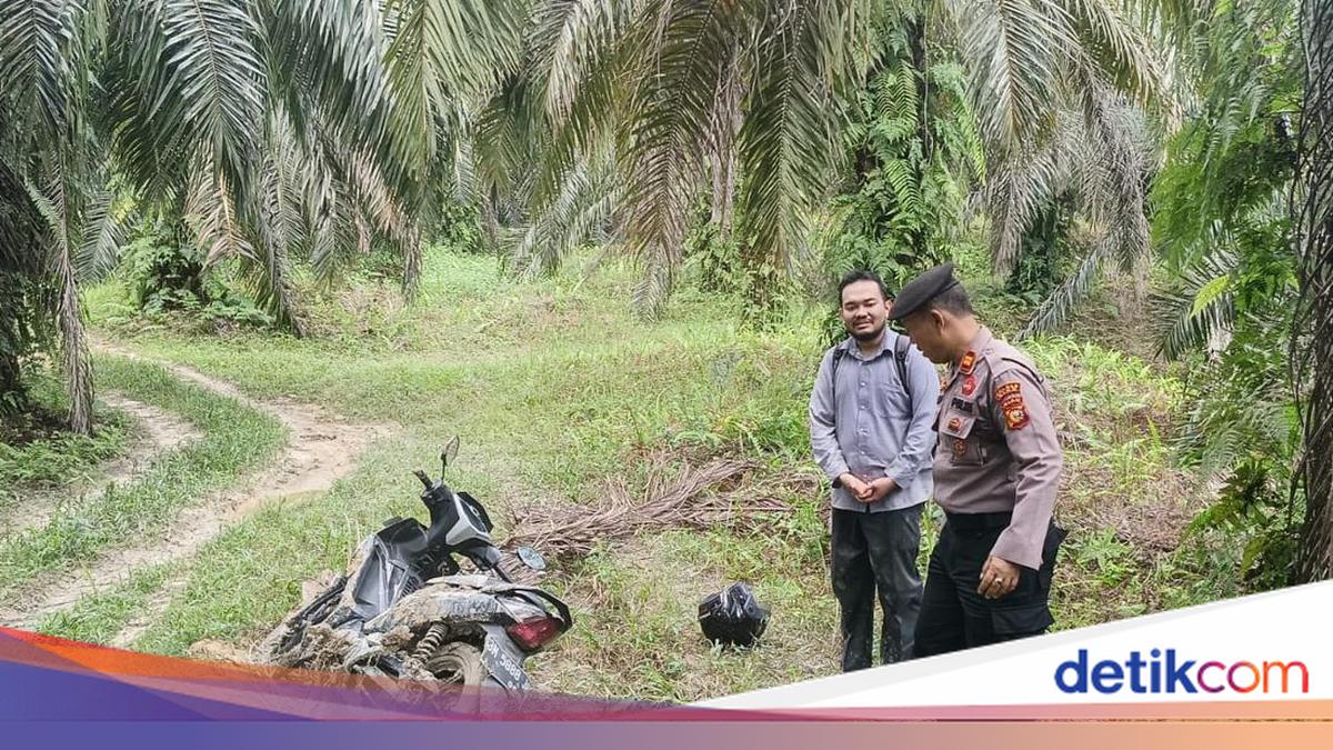 Pria di Siak Telepon 110 Saat Tersesat di Kebun Sawit, Polisi Datang ...