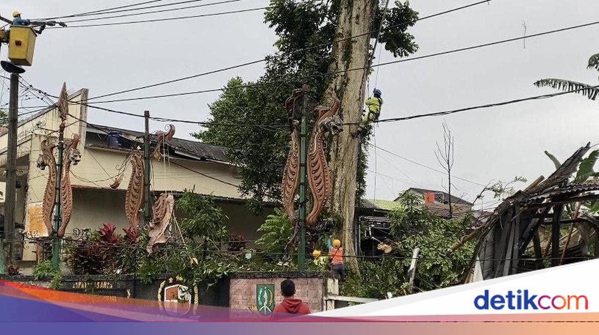 Pohon di Petilasan Eyang Cikundul Timpa Tiang Listrik, 37 Ribu ...