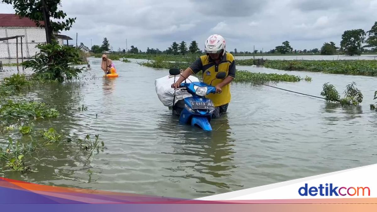Banjir Bengawan Jero Rendam 5 Kecamatan, Ribuan Rumah-Sawah Terdampak