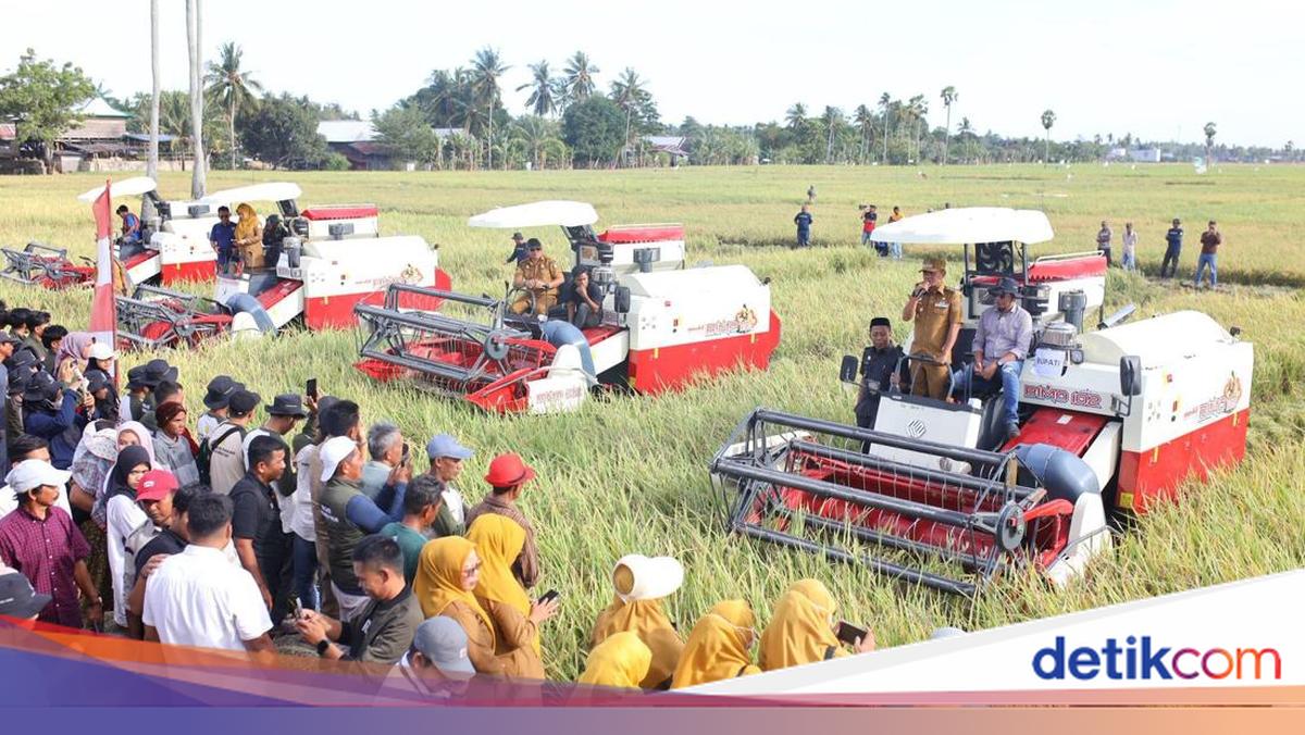 Realisasi KUR di Bone Tembus Rp 1,7 Triliun, Sektor Pertanian Mendominasi