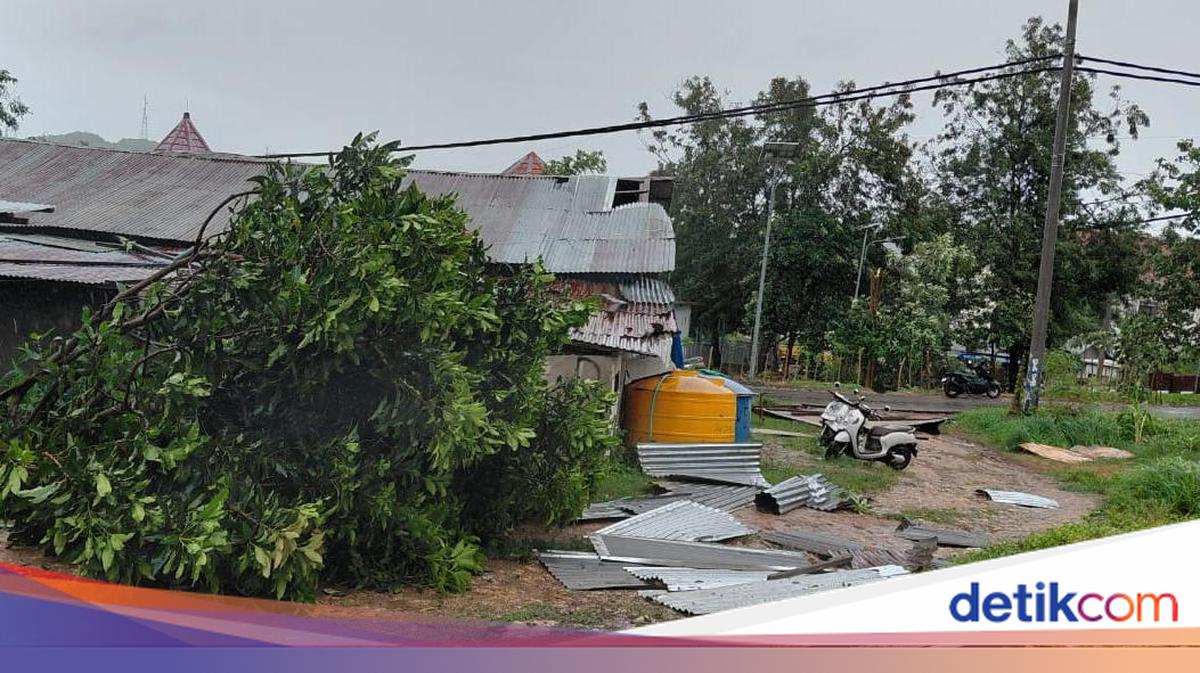 Hujan Badai Terjang Labuan Bajo, Pohon Tumbang hingga Rumah Roboh