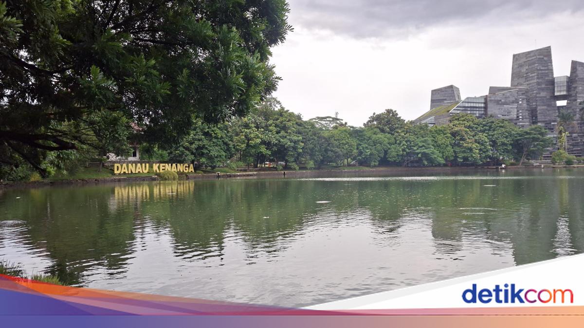 Danau Kenanga UI, Spot Bengong Pagi dan Sore Hari