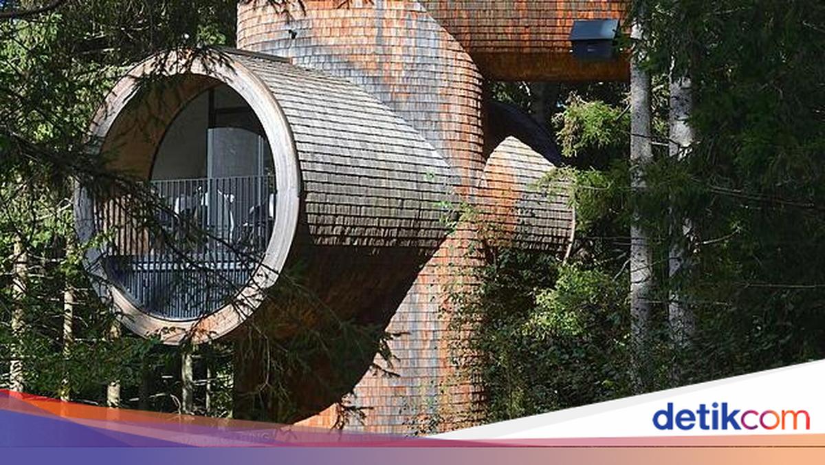 Unik Banget! Ada Rumah Pohon Bentuknya Kayak Pipa Air