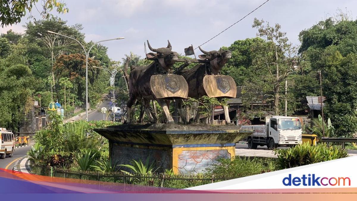 Kondisi Memprihatinkan 2 Patung Karapan Sapi di Lombok Barat