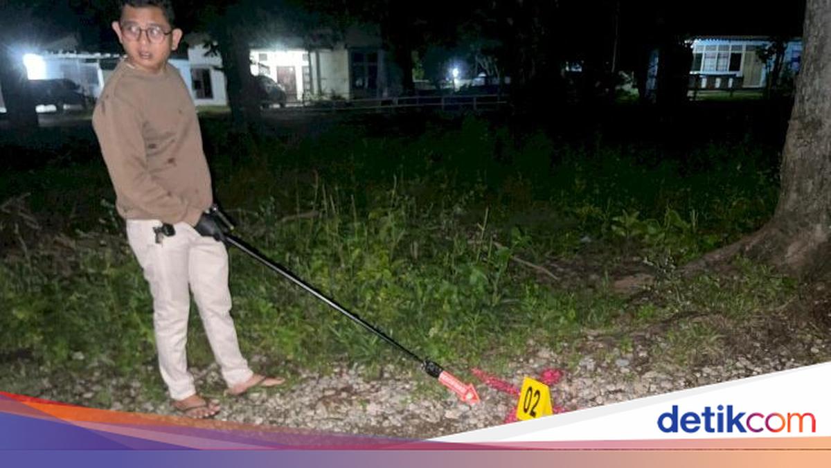 Viral Burung Hantu Ditembak Mati, Wanita di Belu NTT Ditangkap