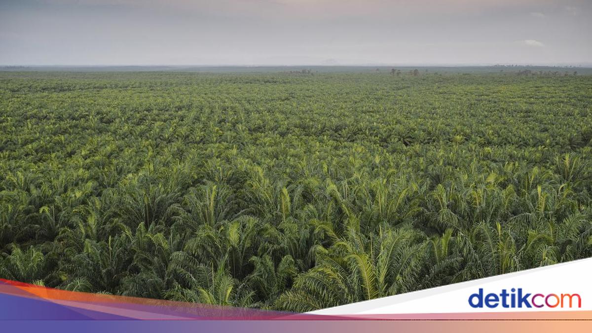 Anak Usaha Astra Agro Bayar Denda Rp 571 M ke Satgas PKH