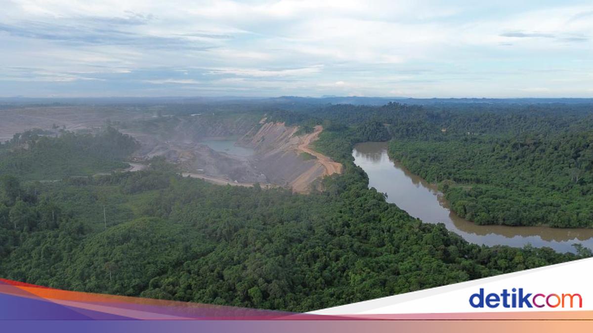 Galian Batu Bara Menganga Dekat Sungai Kelay Berau, JATAM: Bencana ...