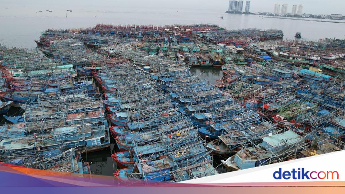 Heboh Kapal Nelayan Numpuk di Muara Angke, KKP Turun Gunung