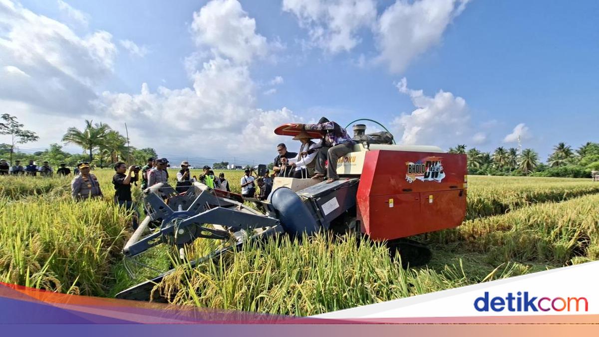 Bulog Targetkan Serap 240 Ribu Ton Setara Beras dari Petani NTB
