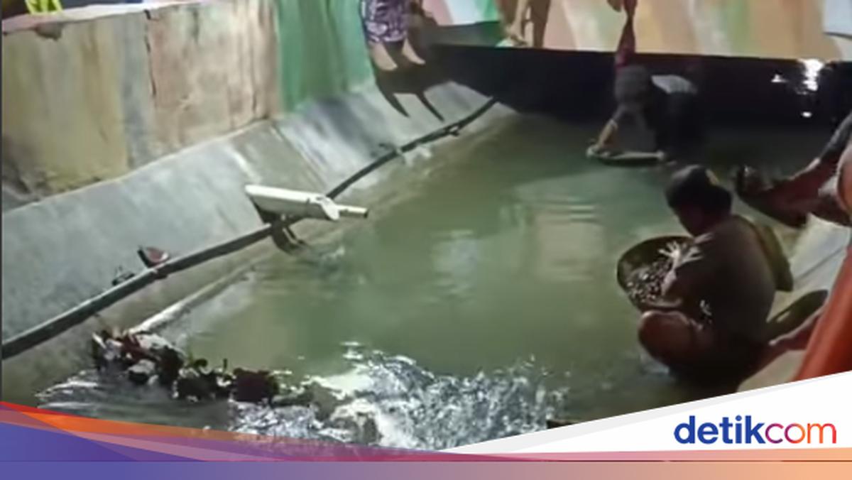 Fakta-fakta Heboh Warga Pamekasan Berburu Emas di Parit
