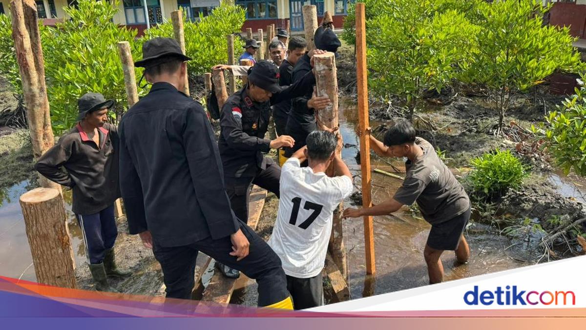 Selamat Tinggal Buaya, Jembatan Presisi Sekolah di Meranti Segera Rampung