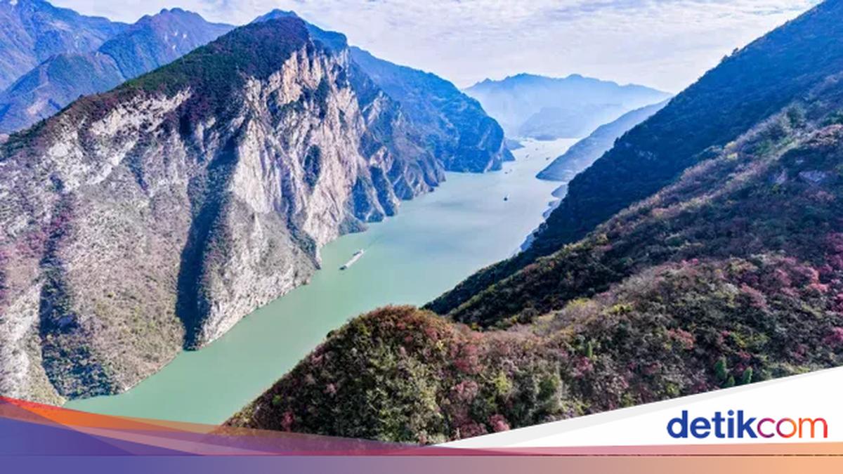 Larangan Tangkap Ikan di Sungai Terbesar China Sukses Pulihkan Spesies