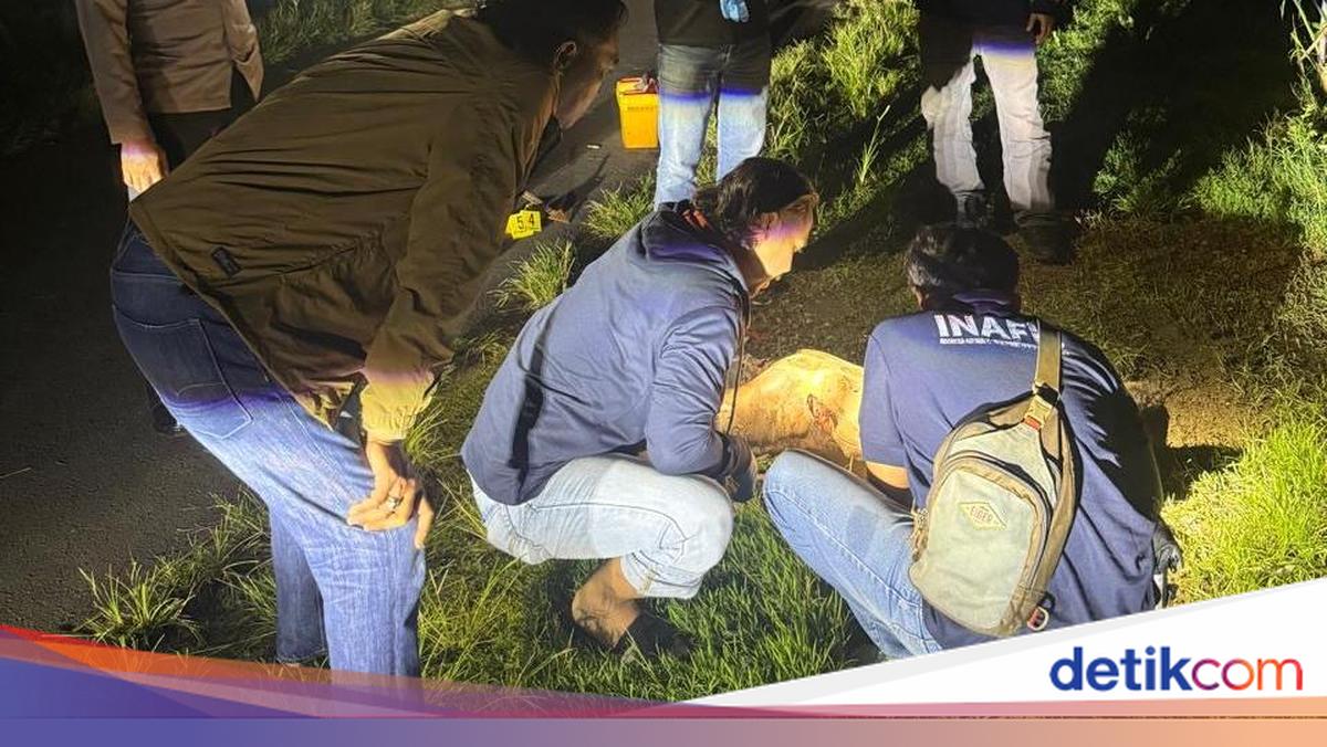 Mayat Pria Penuh Luka Ditemukan di Tepi Sawah, Ini Dugaan Polisi