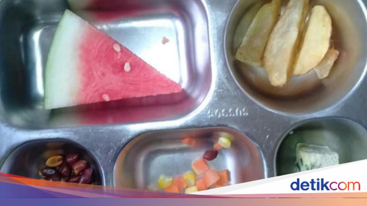 Viral 'Menu Diet Gratis' Tanpa Nasi di Ketapang, Kepala SPPG Terancam ...