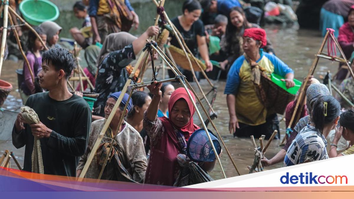 Tangkap Ikan Bersama di Situ Citaman, Tradisi Marak Pererat Silaturahim ...