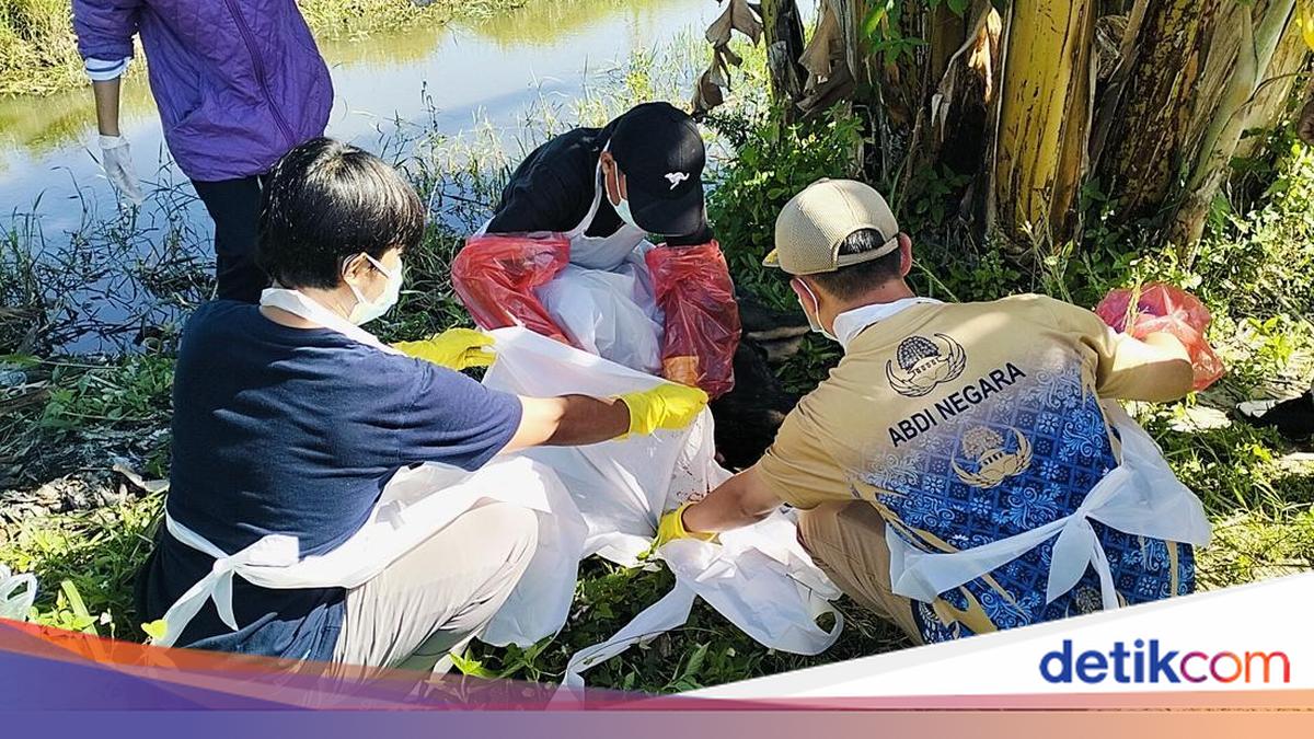 Puskeswan Selidiki Anjing Liar Penyerang Kakak-Adik di Polman Diduga Rabies