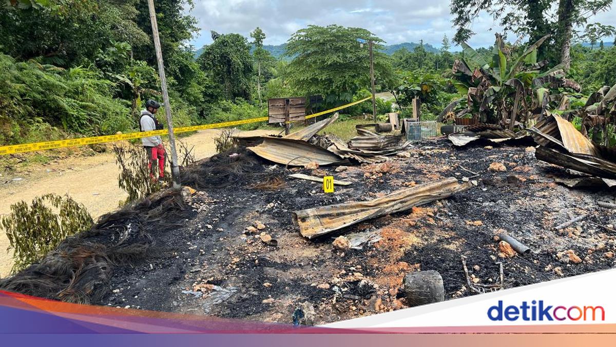 Dugaan Perampasan Senpi Usai Serda Hamdani Gugur Diserang OPM di Nabire