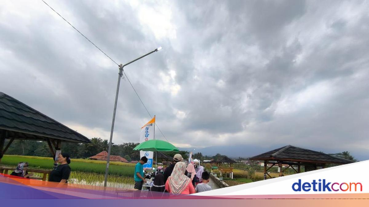 Sawah Lope: Dari Tempat Isolasi COVID-19 Jadi Objek Wisata Hits di Kuningan