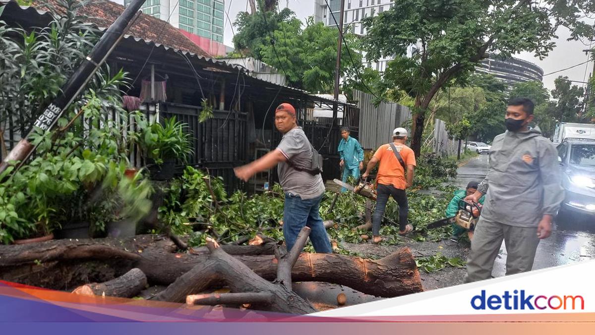 Dampak Hujan Badai di Surabaya: 57 Pohon Tumbang, 1 Pekerja Tewas