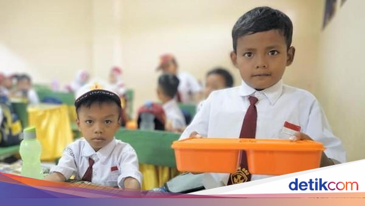 Data BRIN: Lebih dari 49 Juta Siswa Sudah Dapat MBG, Terbanyak Jenjang Ini