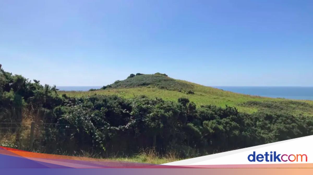 Arkeolog Klaim Temukan Makam Raja Viking Legendaris