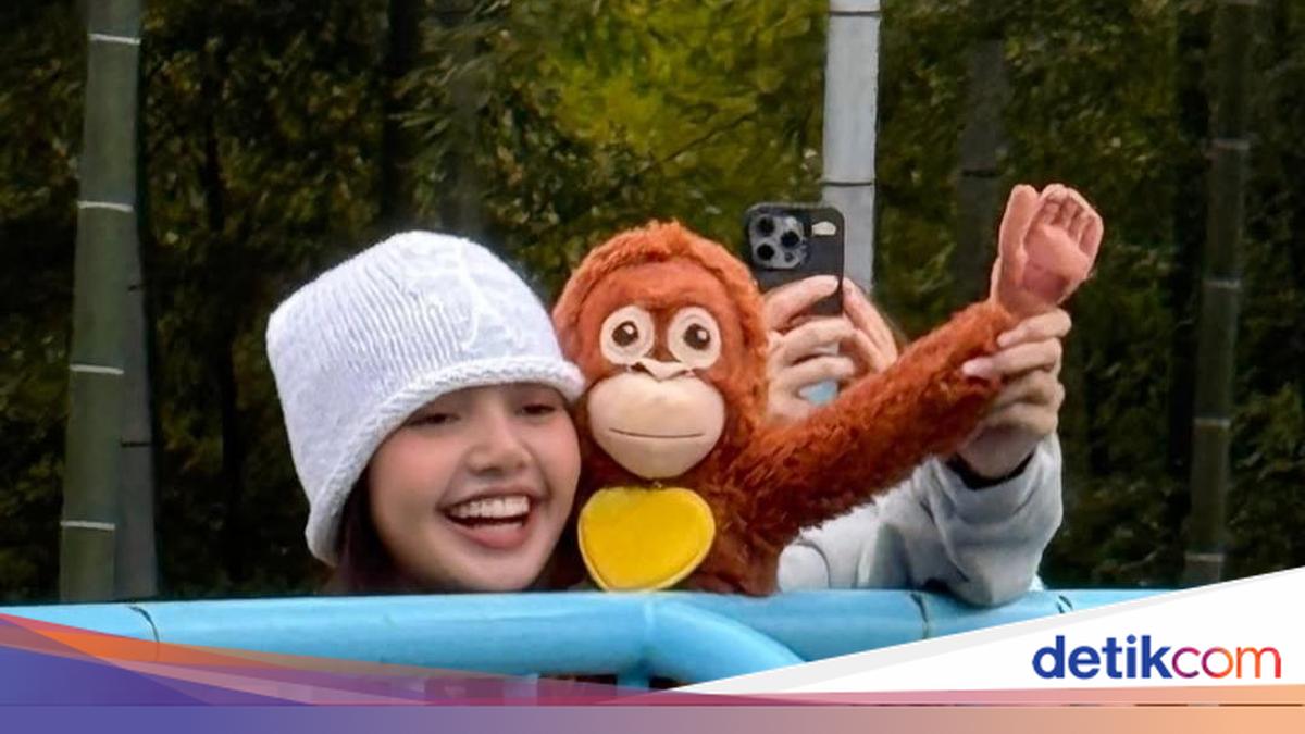 Lisa BLACKPINK Kunjungi Monyet Punch yang Viral