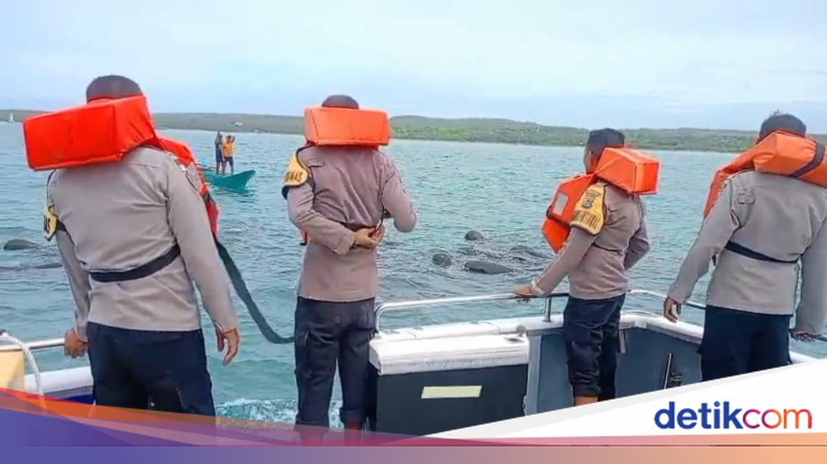 Gerombolan Paus Pilot Terjebak Pukat Nelayan di Perairan Rote Ndao
