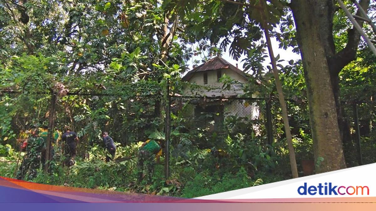 Melihat Bagian Dalam Keraton Solo yang Tak Terawat, Dipenuhi Semak-Lumut
