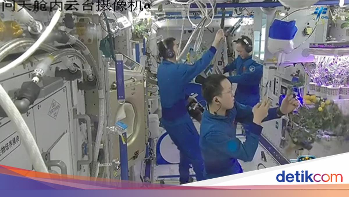 Astronaut China Panen Tomat di Luar Angkasa
