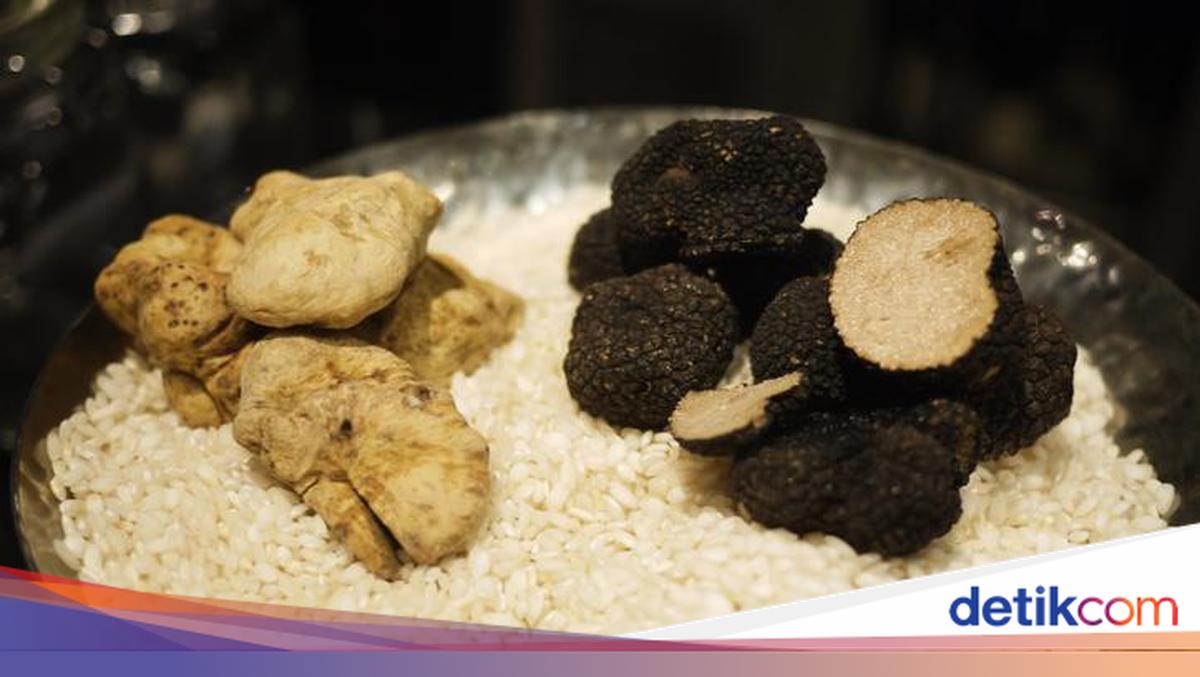 White Truffle vs Black Truffle, Bagaimana Perbedaan Aroma dan Rasanya?