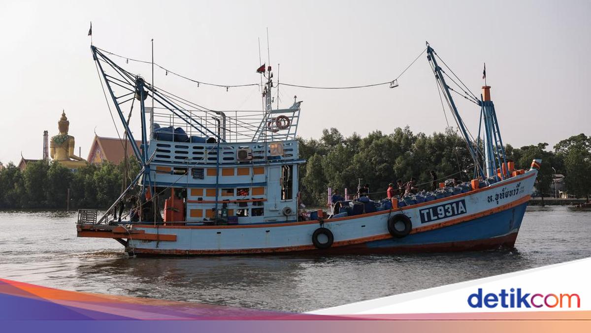 Fenomena Upwelling 2026 Mulai Terbentuk, Tanda Kuat Musim Tangkap Ikan ...