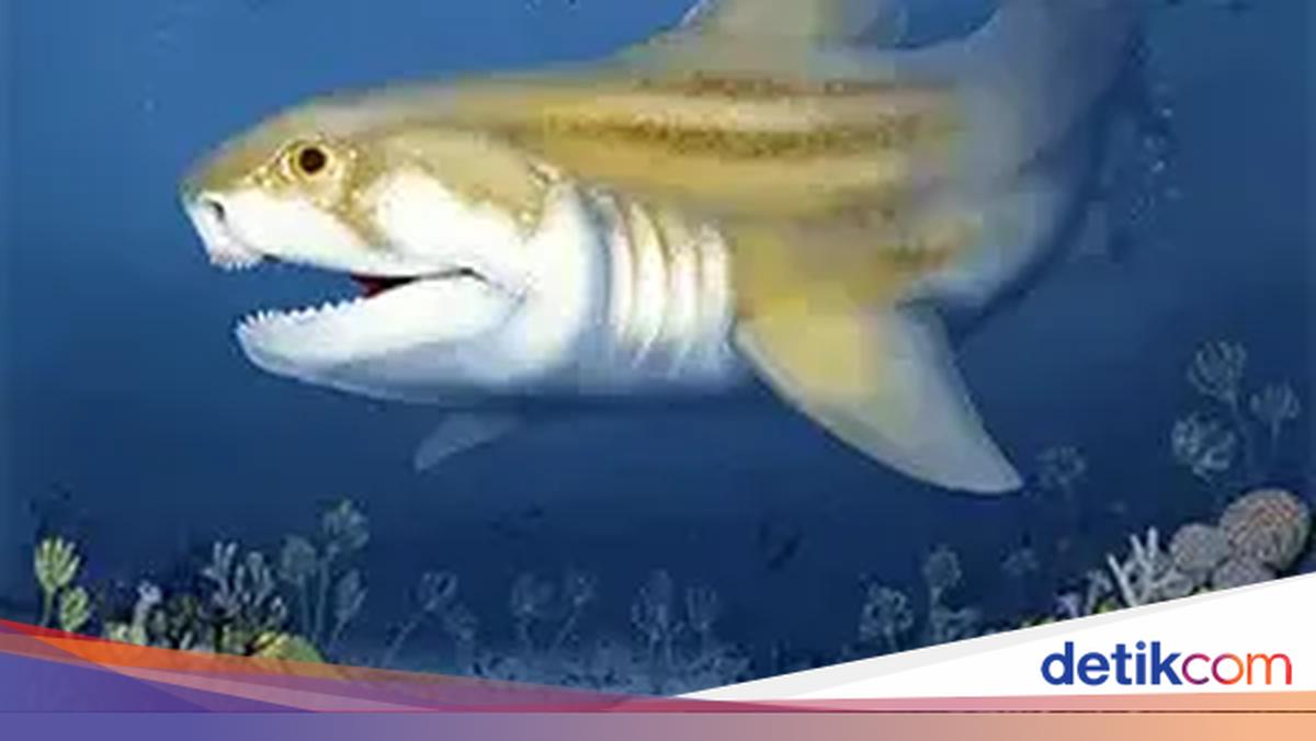 Ilmuwan Temukan Fosil Monster Laut Purba di Gua Wilayah Ini, Seperti ...