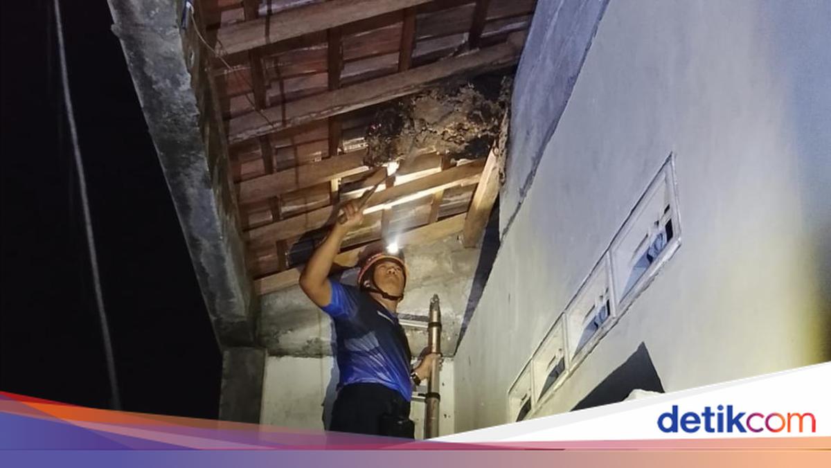 Tim OTT Damkar Nganjuk Evakuasi 2 Sarang Tawon Mematikan