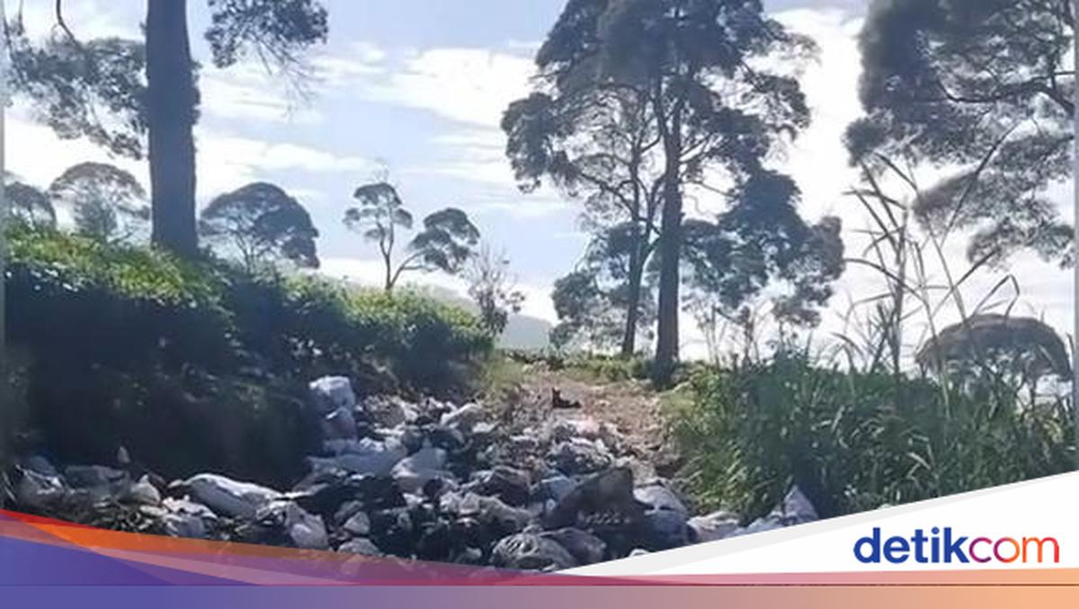 Tumpukan Sampah Kotori Kebun Teh Pangalengan Bandung