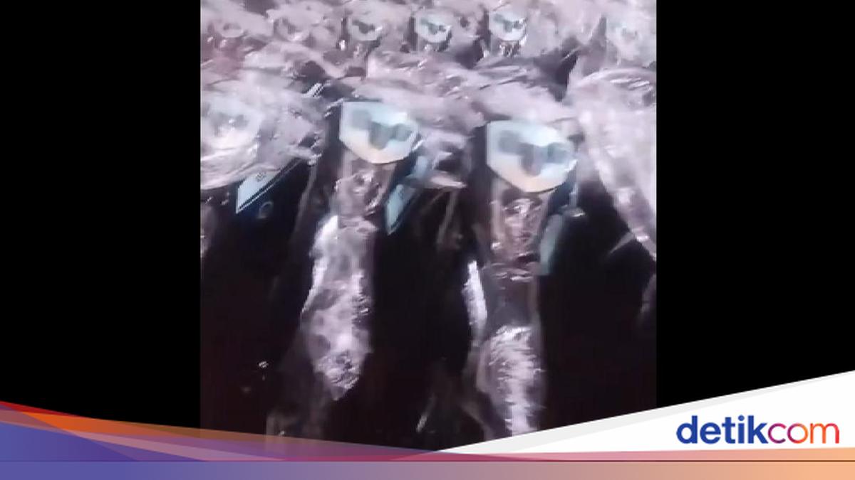 Segini Harga Motor Berlogo BGN untuk Kepala SPPG per Unitnya