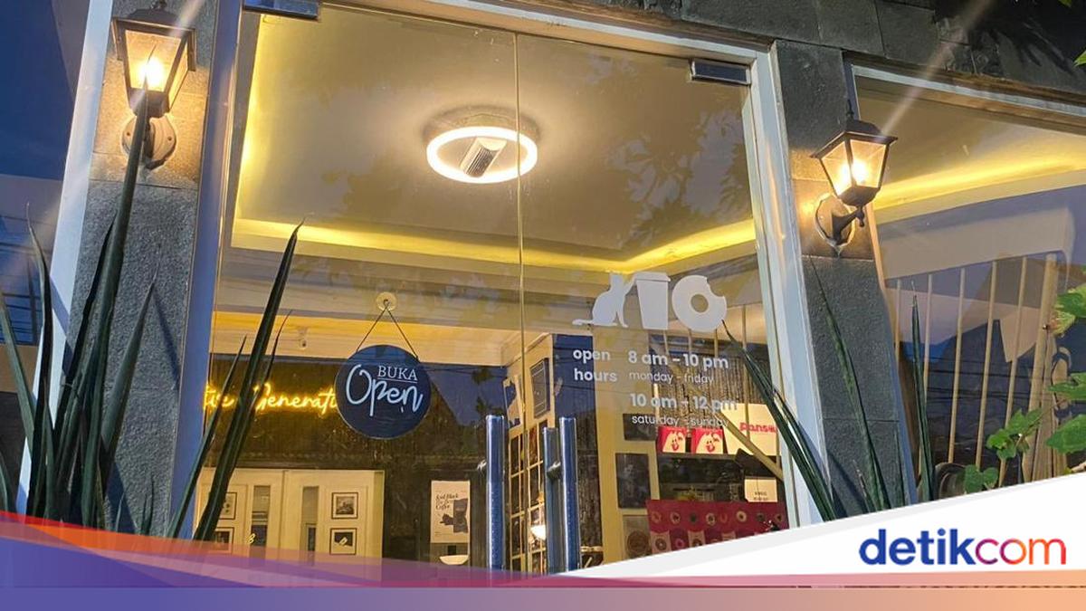 Serunya Nongkrong Bareng Kucing-kucing Menggemaskan di Cafe Pansa 81