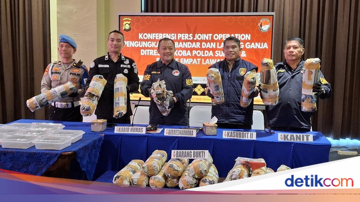 Polda Sumsel Tangkap Pemilik 20 Hektare Lahan Ganja di Empat Lawang