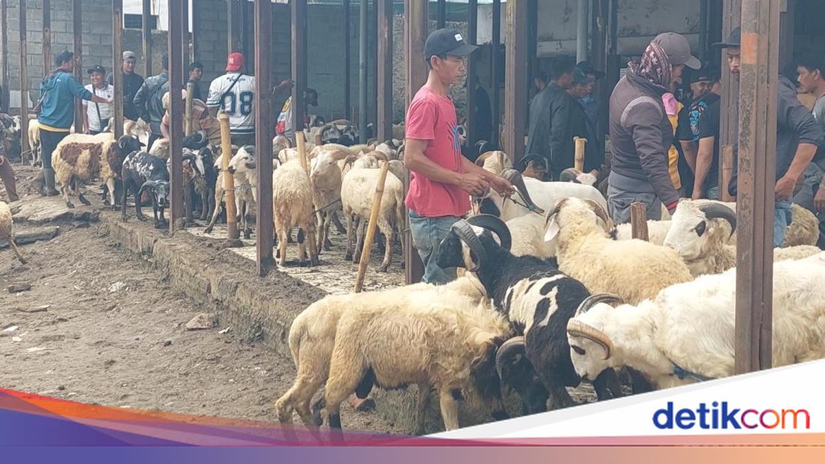 Geliat Jual Beli Domba Jelang Iduladha di Bandung Barat