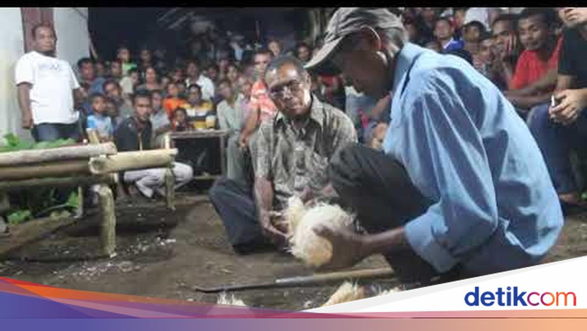 Lewak Tapo, Ritual Mengungkap Kematian Tak Wajar bagi Suku Lamaholot