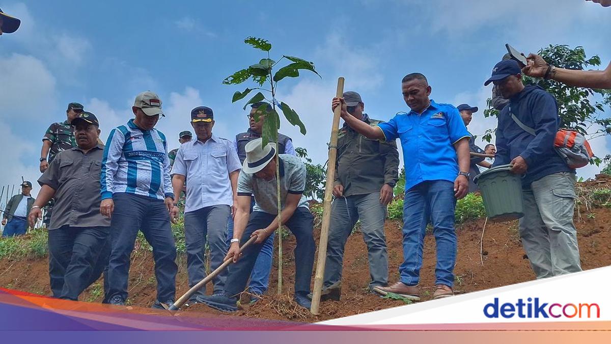 Menteri LH Jumhur Minta Gerakan Tanam Pohon Digencarkan