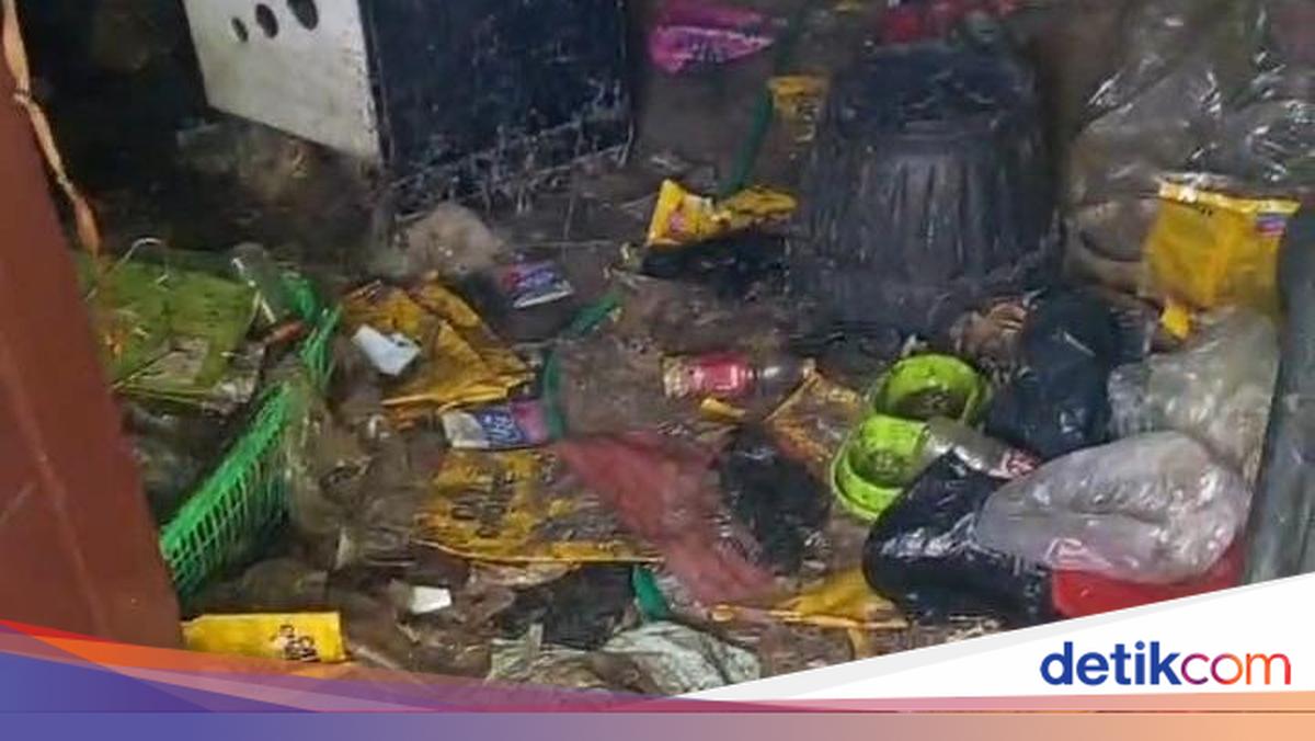 Belajar dari Kasus Bangkai Kucing di Kontrakan, Ini Tips Pilih Penyewa ...