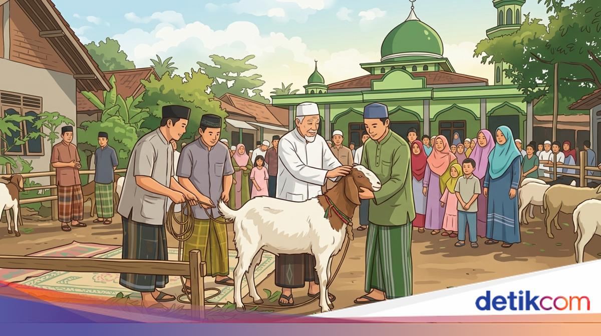 Syarat Sah Hewan Qurban Idul Adha, Muslim Wajib Tahu Sebelum Menyembelih!