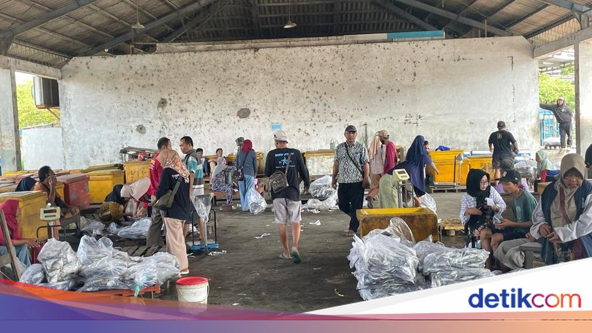 Harga Ikan di Juwana Pati Meroket Buntut Nelayan Tak Melaut