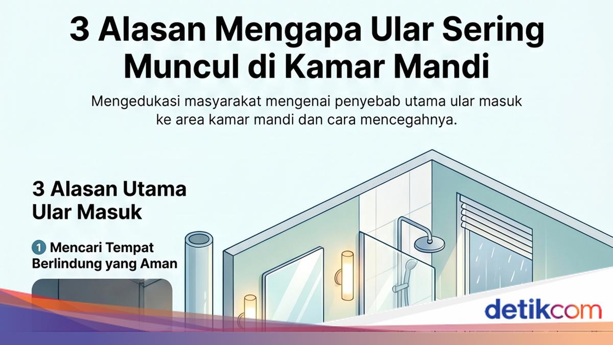 Infografis: Ini 3 Alasan Mengapa Ular Sering Muncul di Kamar Mandi