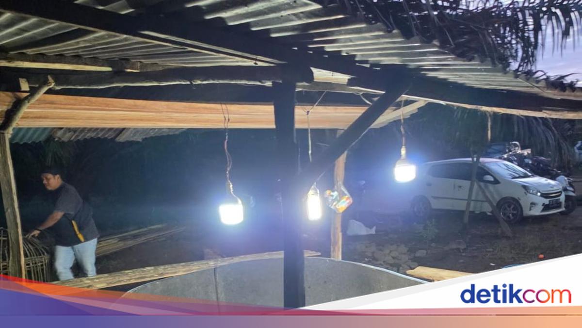 Polisi Gerebek Judi Sabung Ayam di Bengkulu, 2 Orang jadi Tersangka