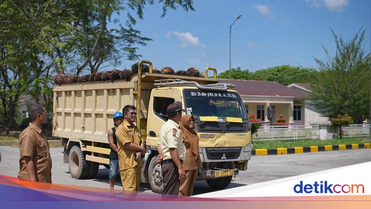 Sidak Pabrik Sawit-Terbitkan SE, Bupati Siak Minta Tak Permainkan Harga ...