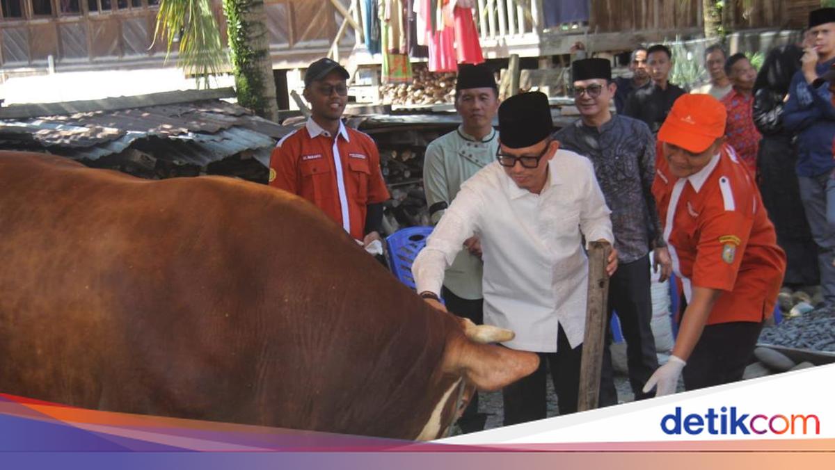 Bupati OKU Serahkan Sapi Kurban Presiden Prabowo ke Warga Muara Jaya